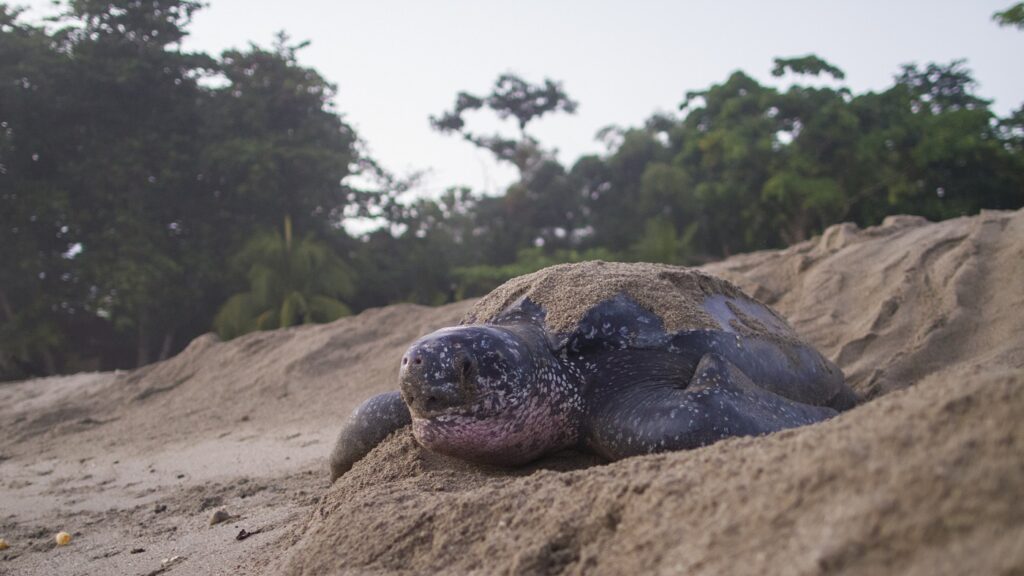 Tours - HADCO Experiences